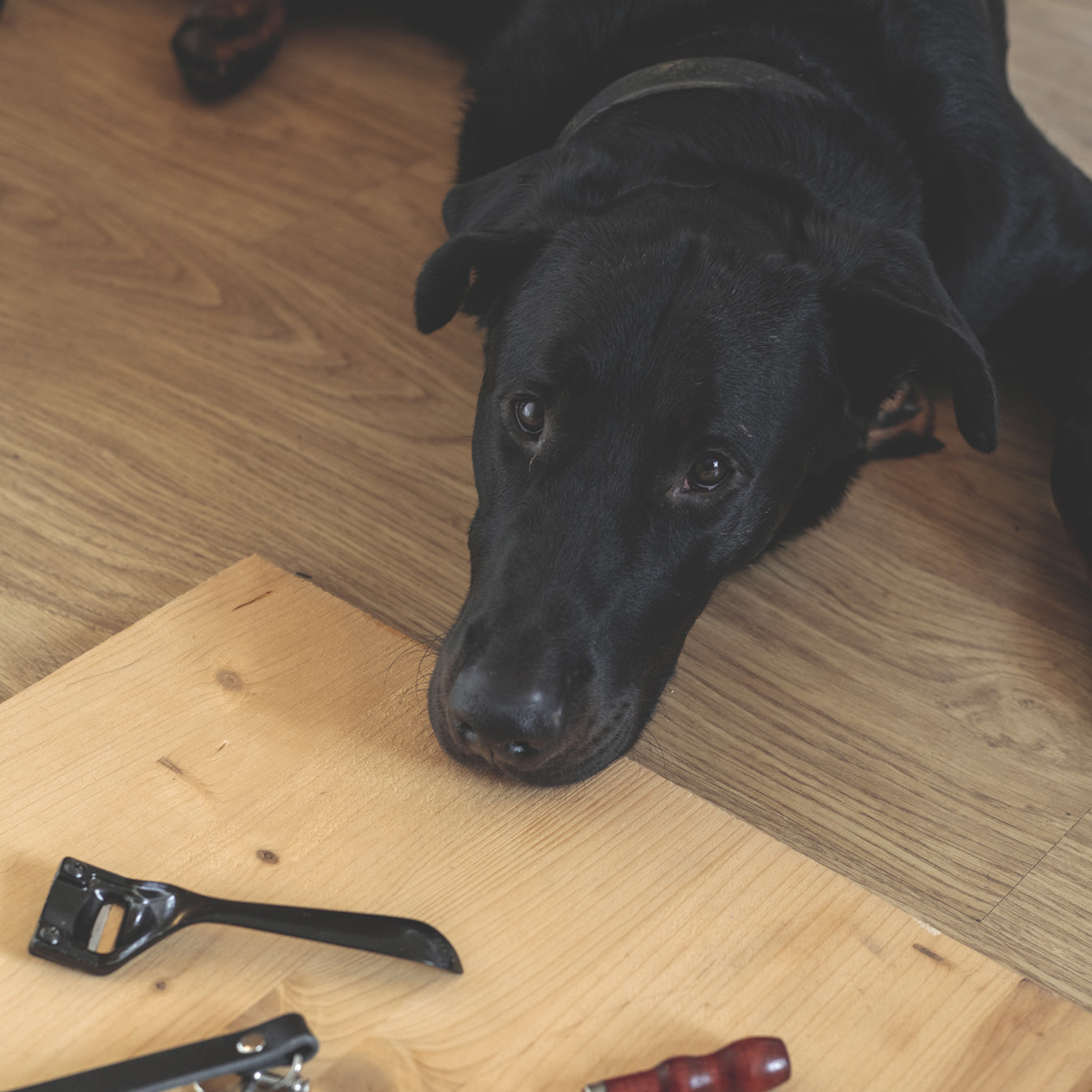 November, Bloody November - Possible Shipping Delays – Cloverlily ...